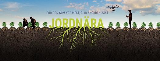 Blåsskorv Sjukdomar i potatis | Syngenta